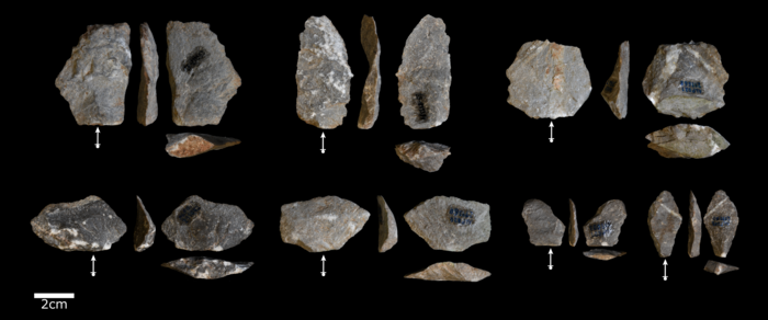 Stone flakes made by nut-cracking macaques resemble early human tools ...