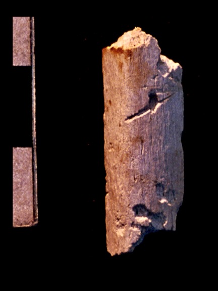 Pushing Back the Timeline on the Earliest Stone Tools – Popular Archeology