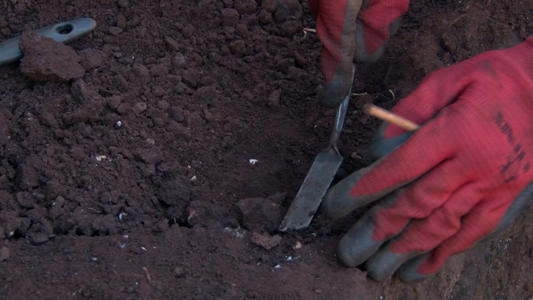 Humanity’s First Global Ancestor – Popular Archeology