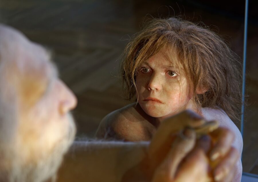 A Neanderthal child who may have had Down Syndrome survived to age 6 ...