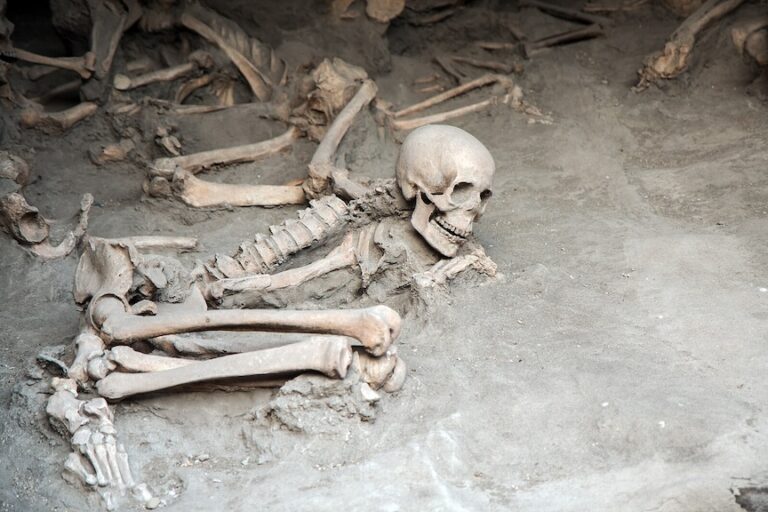 Vesuvian ash cloud turned brain to glass – Popular Archeology