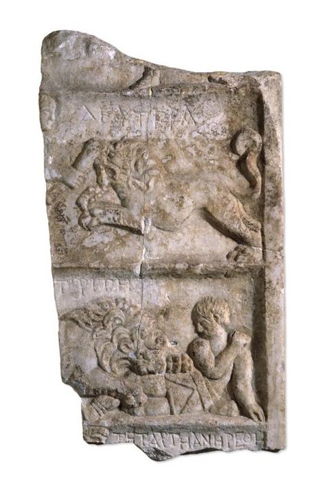 New study shows first skeletal evidence of gladiator bitten by lion in ...