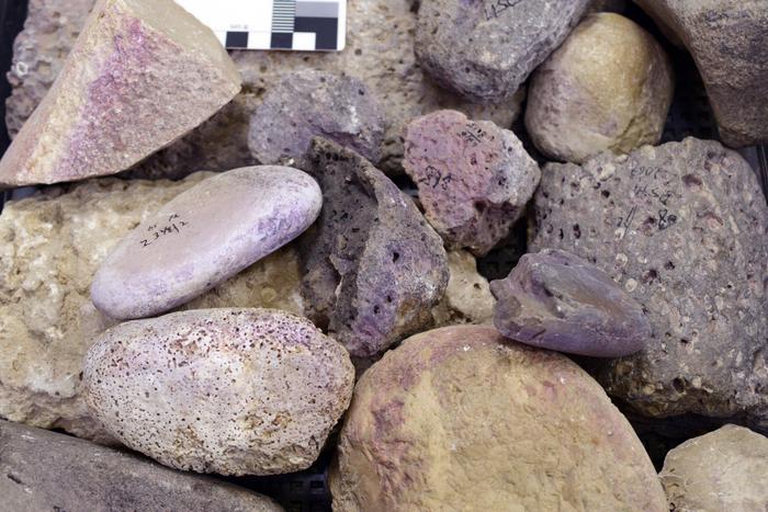 Iron Age purple dye “factory” in Israel was in operation for almost 500 ...