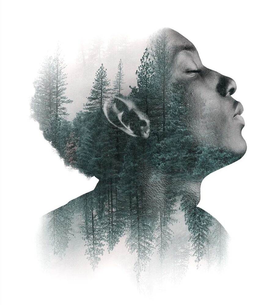 Humans are evolved for nature, not cities – Popular Archeology