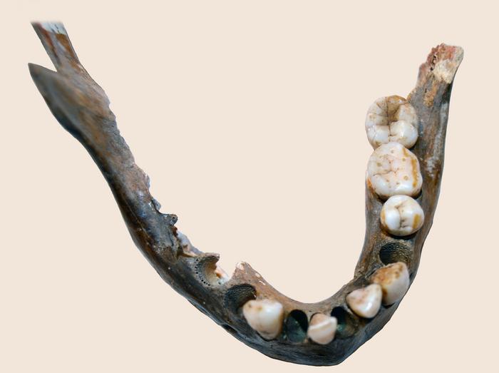 Becoming human in southern Africa: What ancient hunter-gatherer genomes ...