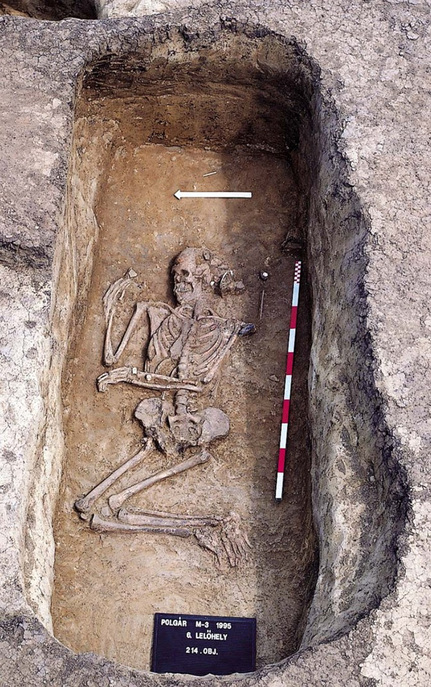 Women and men roles in the Neolithic were gendered but flexible ...