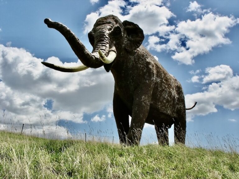 Hunted by neanderthals: Giant elephants traveled hundreds of kilometers ...