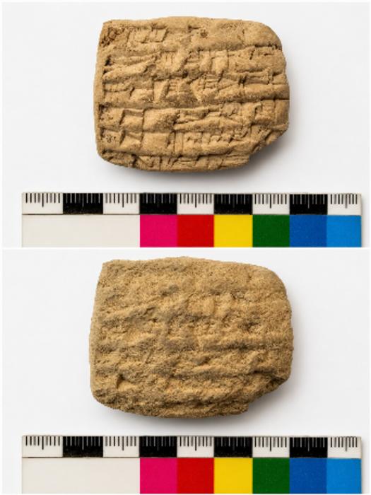 Archaeologists uncover 4,000-year-old evidence of siege warfare in ...